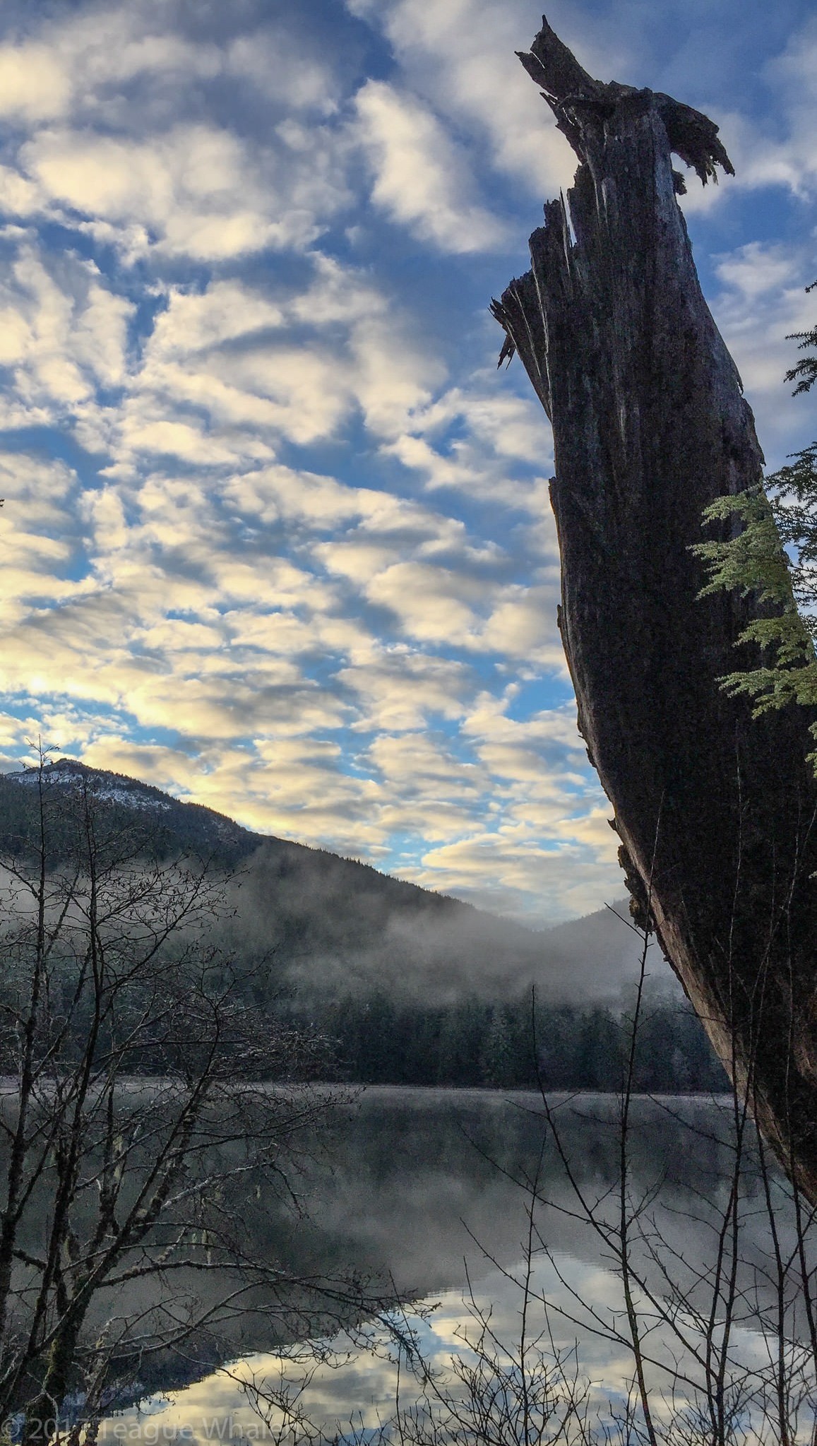 Ward Lake Trail | ALASKA.ORG