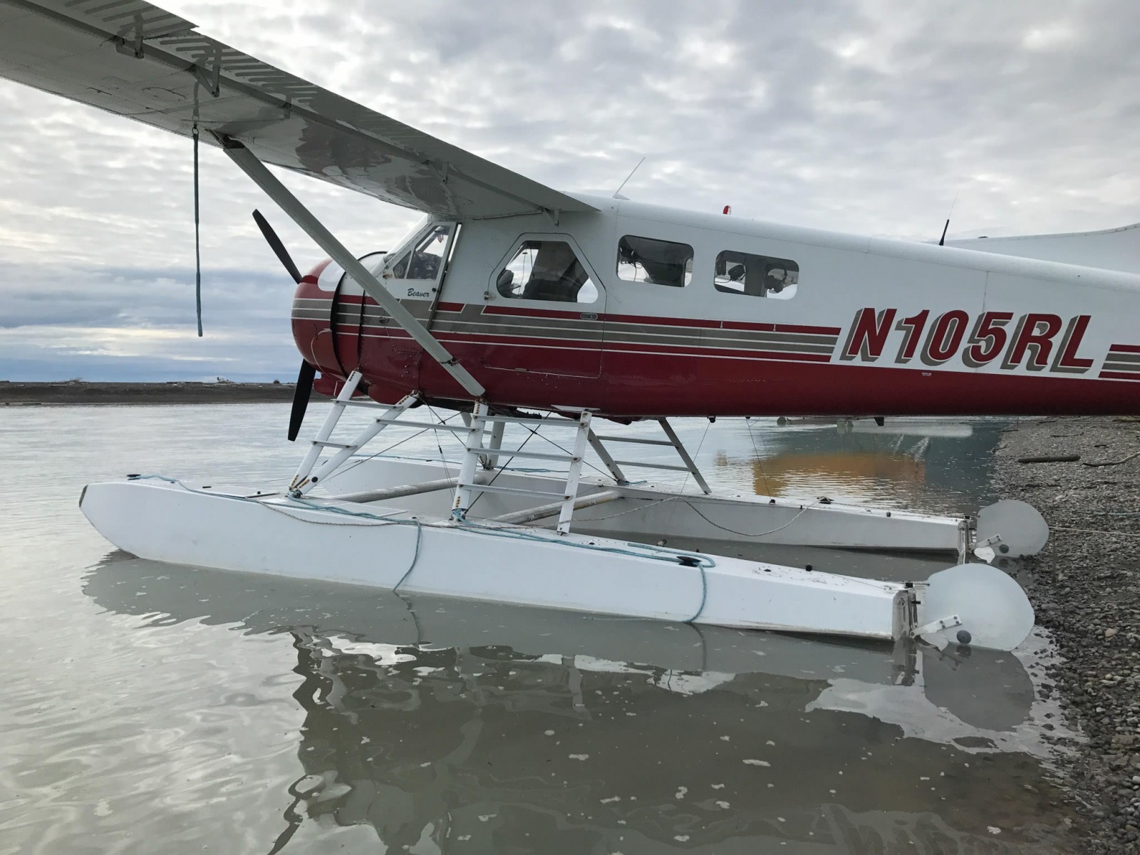 Island Air Service Bear Viewing | Tours from Kodiak,… | ALASKA.ORG