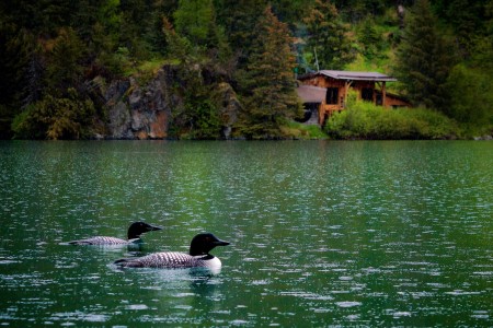 Alaska Wilderness Lodges | Best Remote Lodges (Fly-In or… | ALASKA.ORG