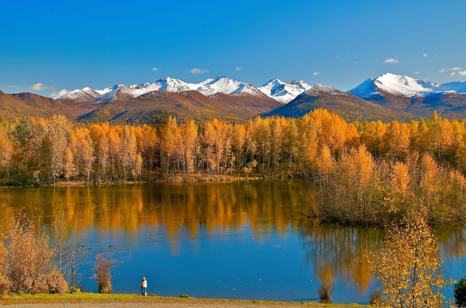 Springhill Suites Anchorage University Lake | Midtown… | ALASKA.ORG