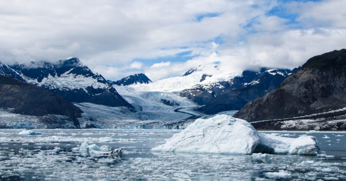 Grand Alaska Tour | See Denali National Park, Anchorage,… | ALASKA.ORG