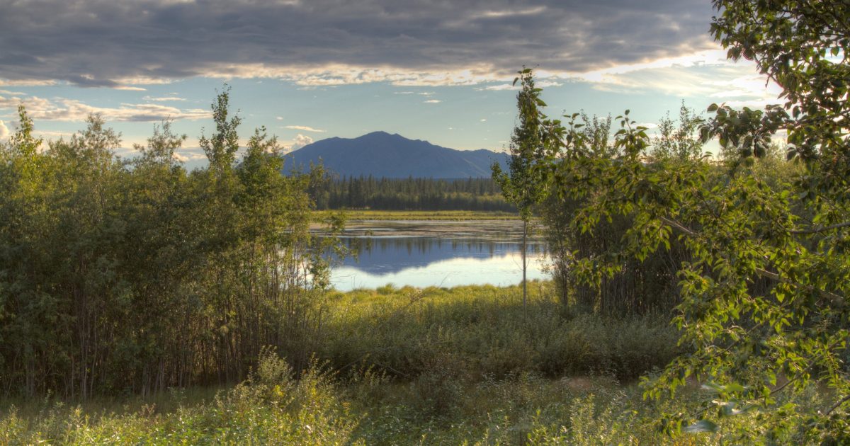 Alaska Vacations & Travel Advice from Trusted Alaskans | ALASKA.ORG