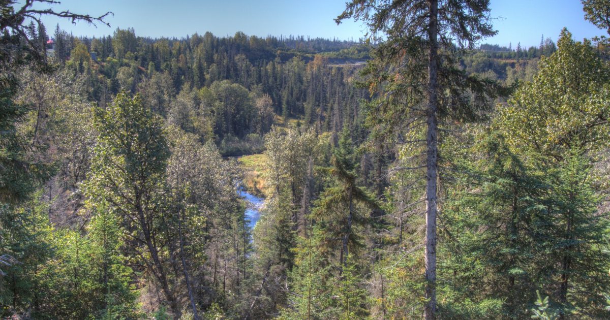 Happy Valley | ALASKA.ORG