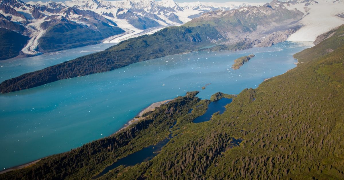 College Fjord | ALASKA.ORG