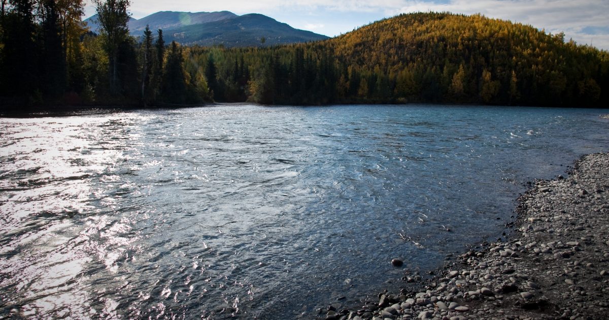 Jim's Landing | ALASKA.ORG