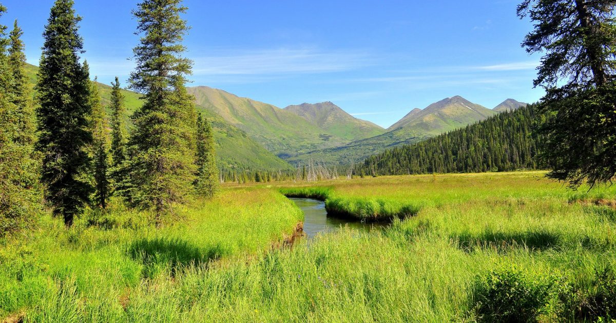 Resurrection River Trail | ALASKA.ORG