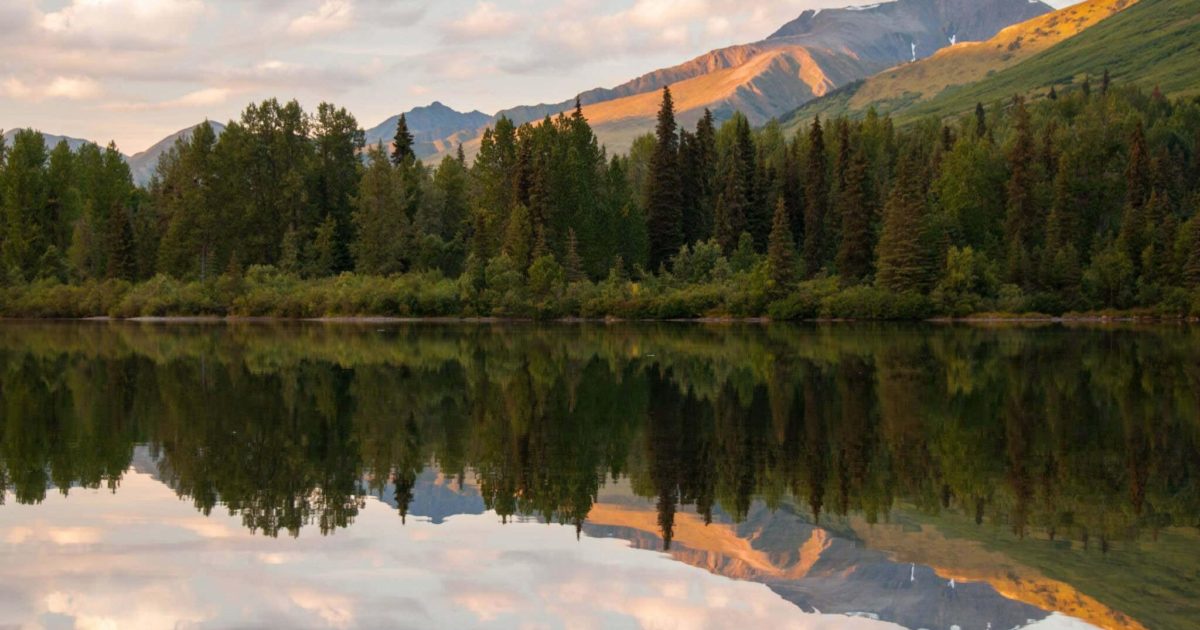 Tenderfoot Creek Campground | ALASKA.ORG