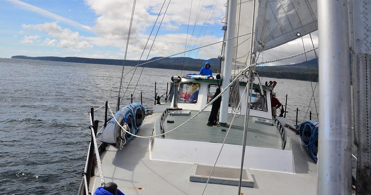 Juneau Sailing & Private Yacht Charters | Multi-Day &… | ALASKA.ORG