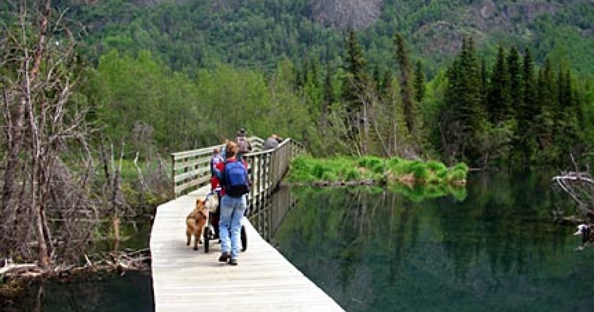 Albert Loop Trail | ALASKA.ORG