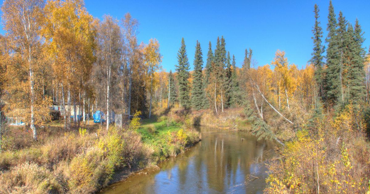 Bridge Over Little Chena River (mi 11.8) | ALASKA.ORG