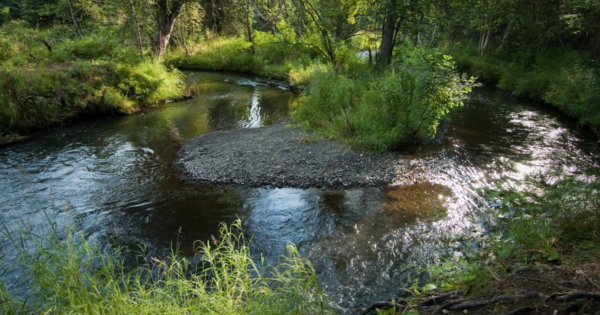 Chester Creek Trail | ALASKA.ORG
