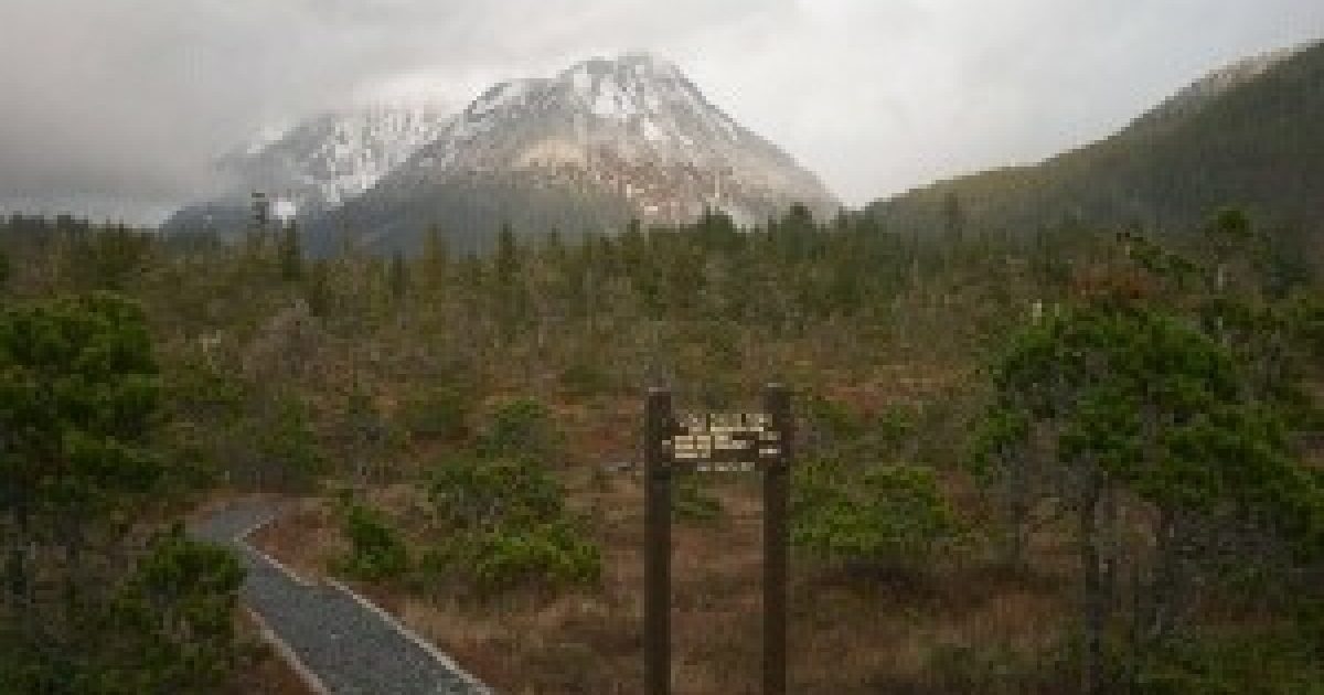 Cross Trail | ALASKA.ORG