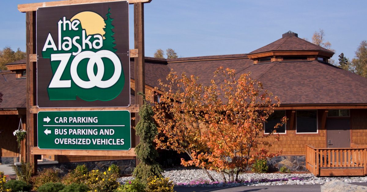 Alaska Zoo | Anchorage Attractions & Things To Do | ALASKA.ORG