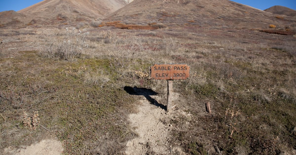 Sable Pass | Look For Bears, Wolves & Caribou: Mile… | ALASKA.ORG