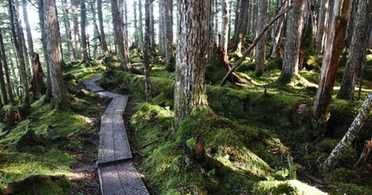 Haystack USFS Trail | ALASKA.ORG