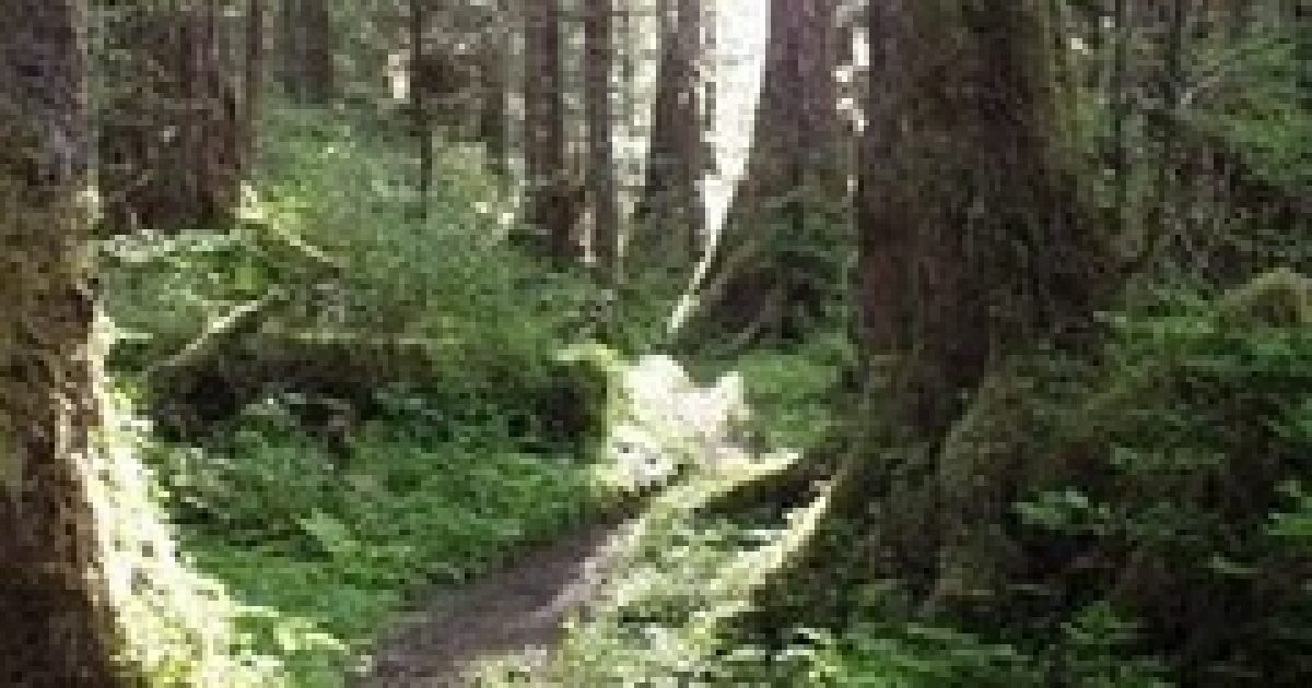Indian River Trail | ALASKA.ORG