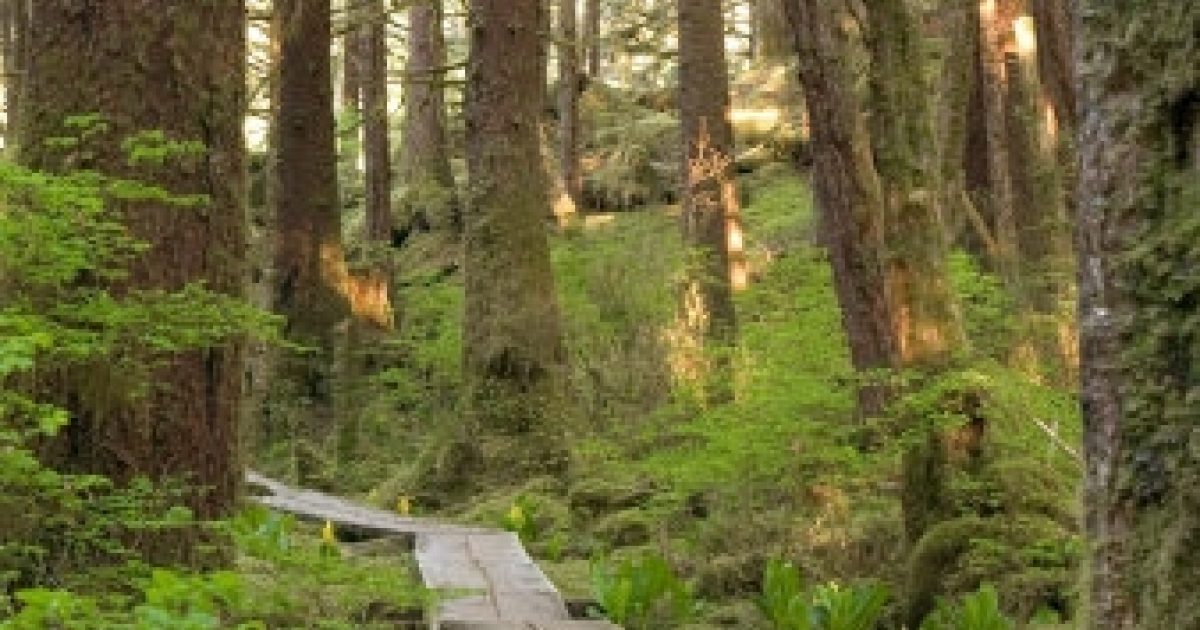 Lagoon Trail | ALASKA.ORG