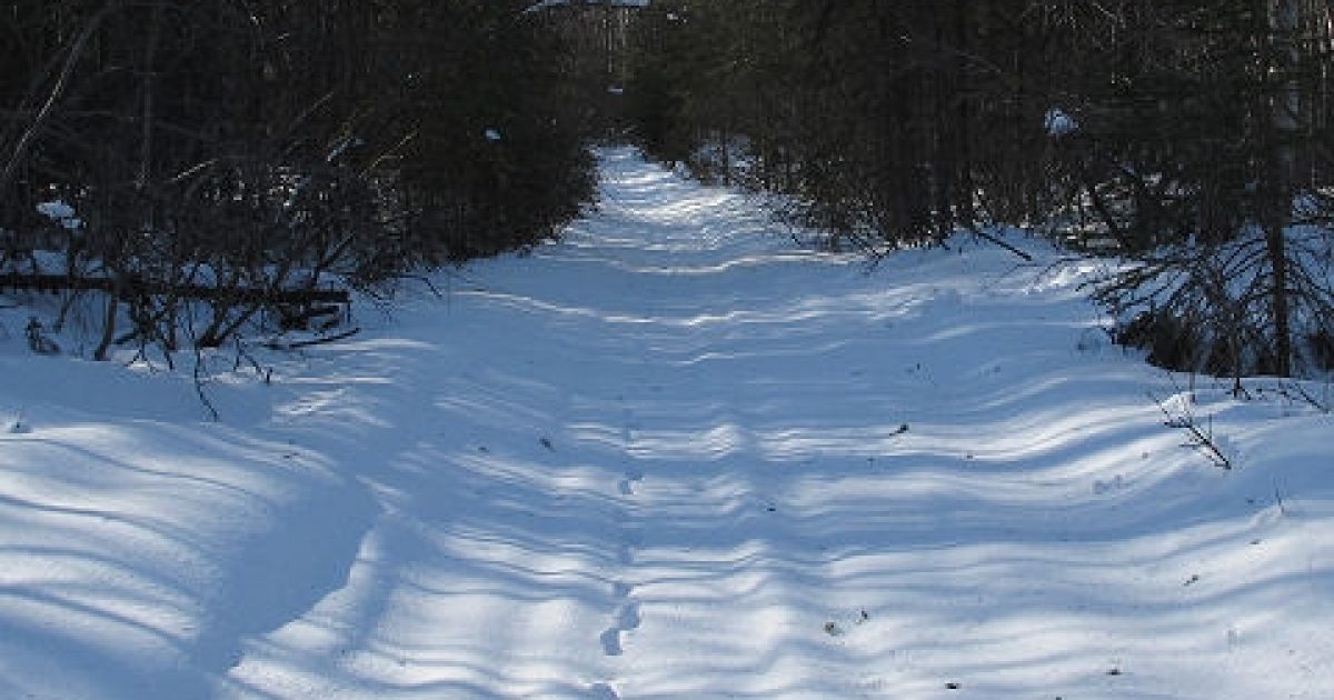 Little Loop Trail | ALASKA.ORG