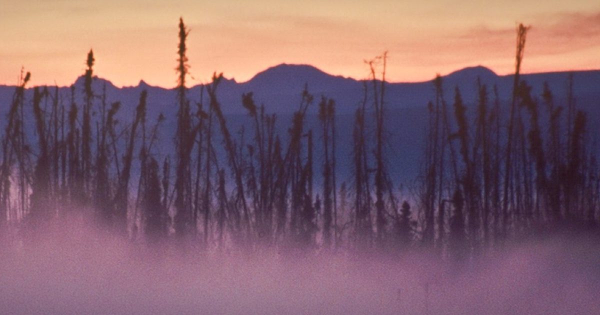 Long Lake Trail (Hillside) | ALASKA.ORG