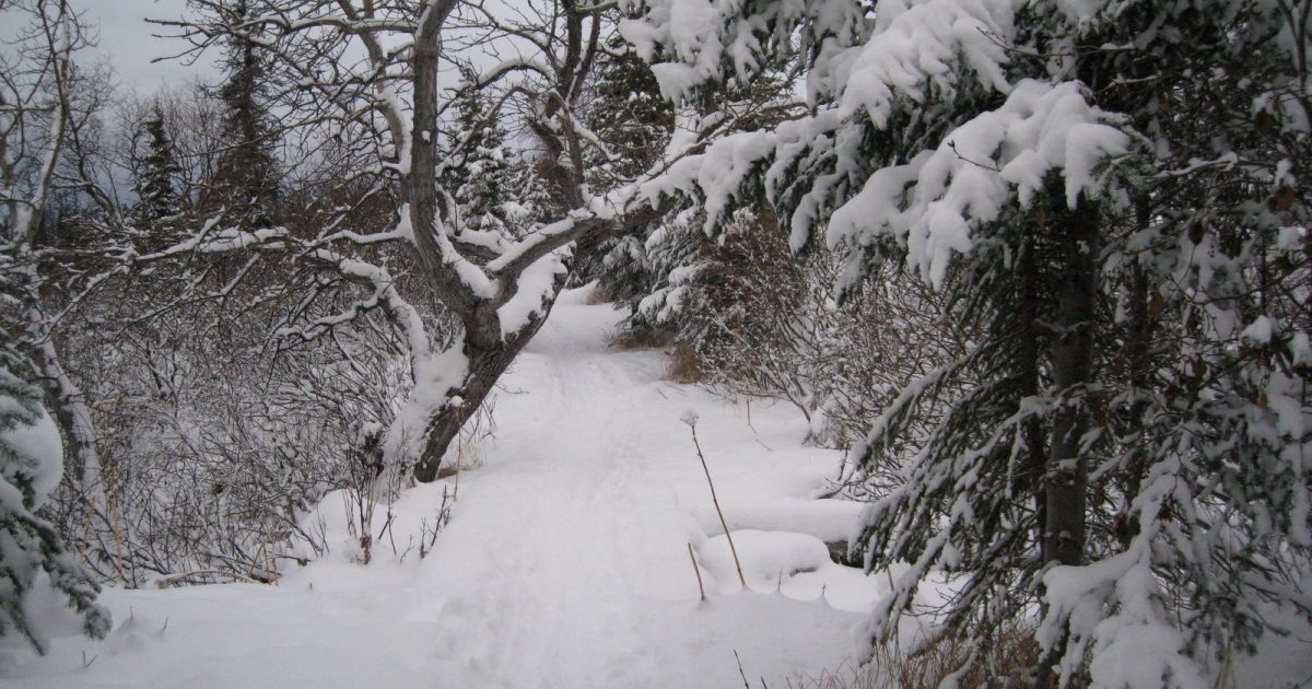 Near Point Trail | ALASKA.ORG