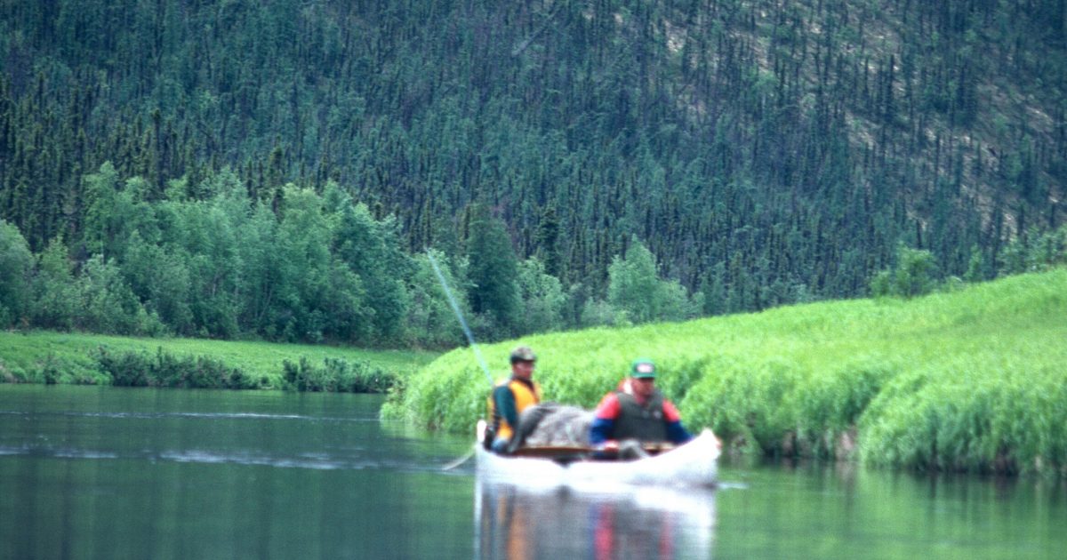 Nowitna River Float Trip Guide | ALASKA.ORG