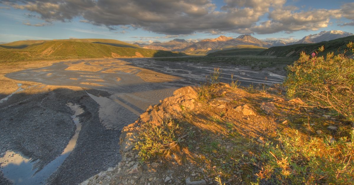 Toklat River (Mile 53.1) | ALASKA.ORG