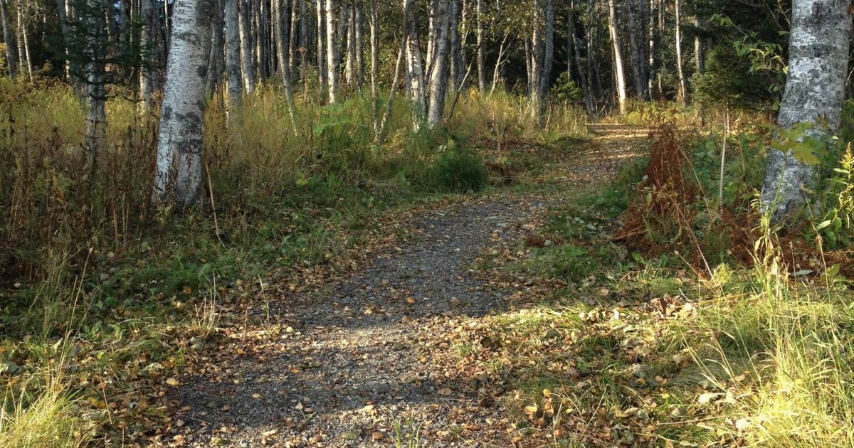 Ray Clapp Trail | ALASKA.ORG