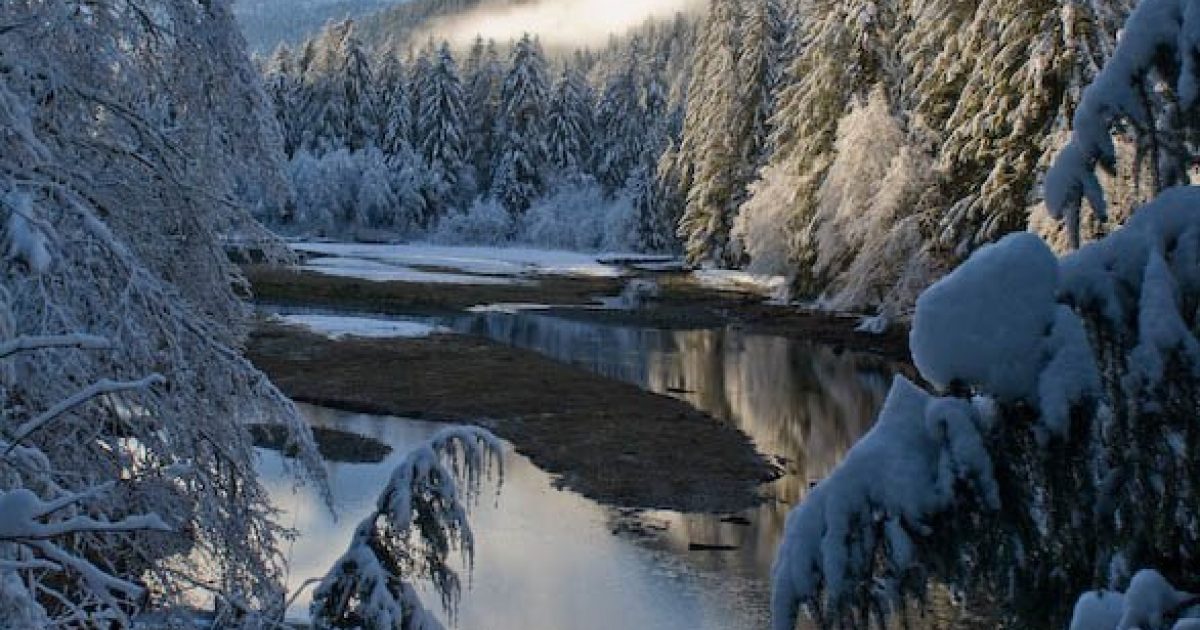 Salmon Lake Redoubt Lake Trail | ALASKA.ORG