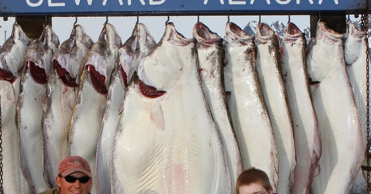 Seward Fishing Charters | The Best Salmon and Halibut… | ALASKA.ORG