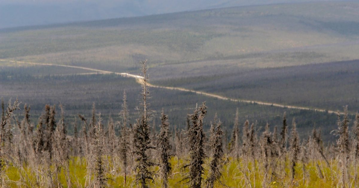 Table Top Mountain Trail | ALASKA.ORG