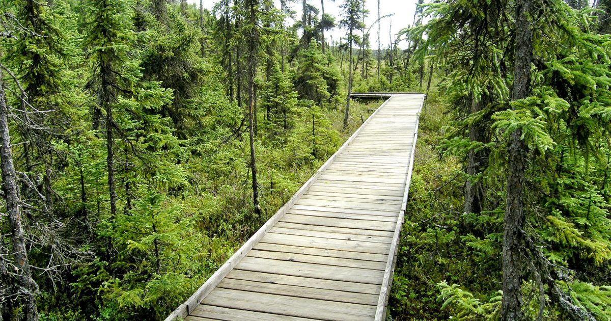 Keen Eye Trail Near Headquarters | ALASKA.ORG