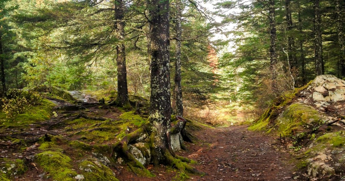 Two Lakes Trail | ALASKA.ORG