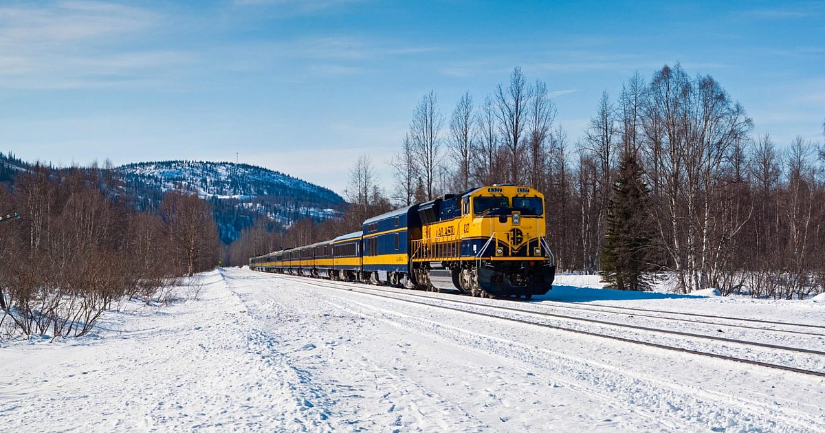 Denali National Park Winter Activities | Best Things To… | ALASKA.ORG