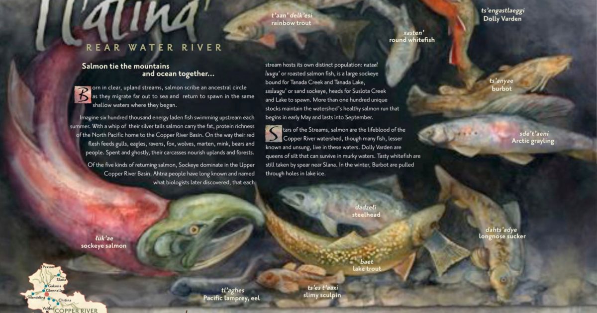 Alaska Vacations & Travel Advice from Trusted Alaskans | ALASKA.ORG