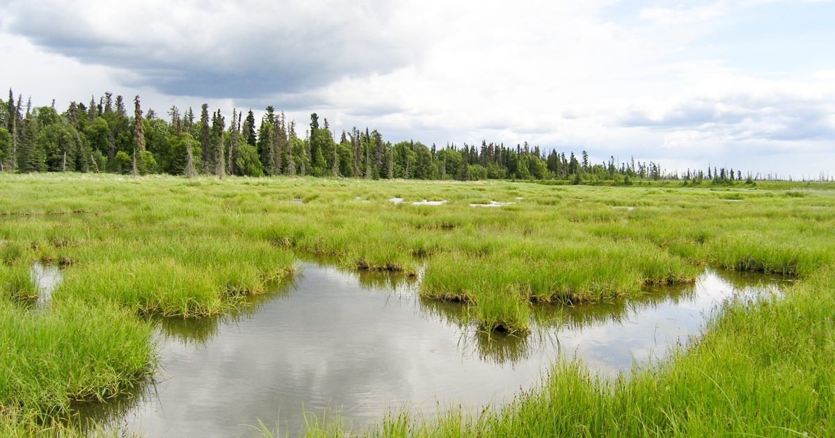 Alaska Vacations & Travel Advice from Trusted Alaskans | ALASKA.ORG