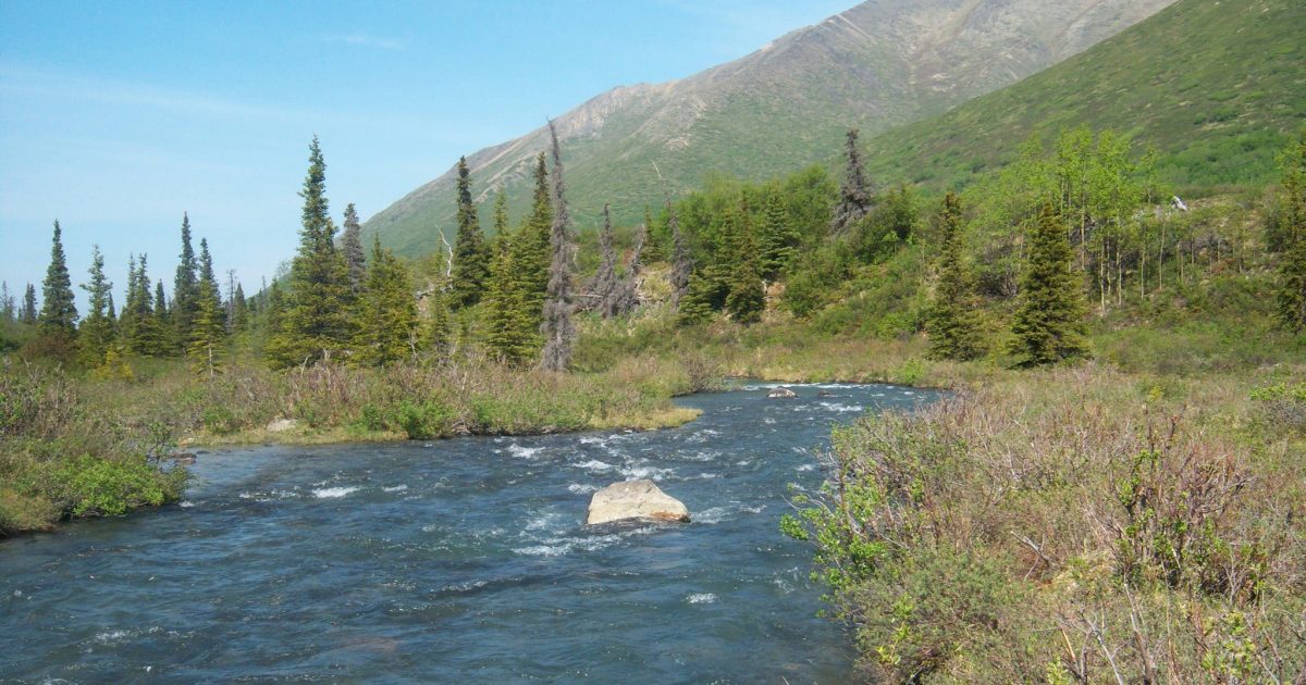 South Fork Eagle River Falls | ALASKA.ORG