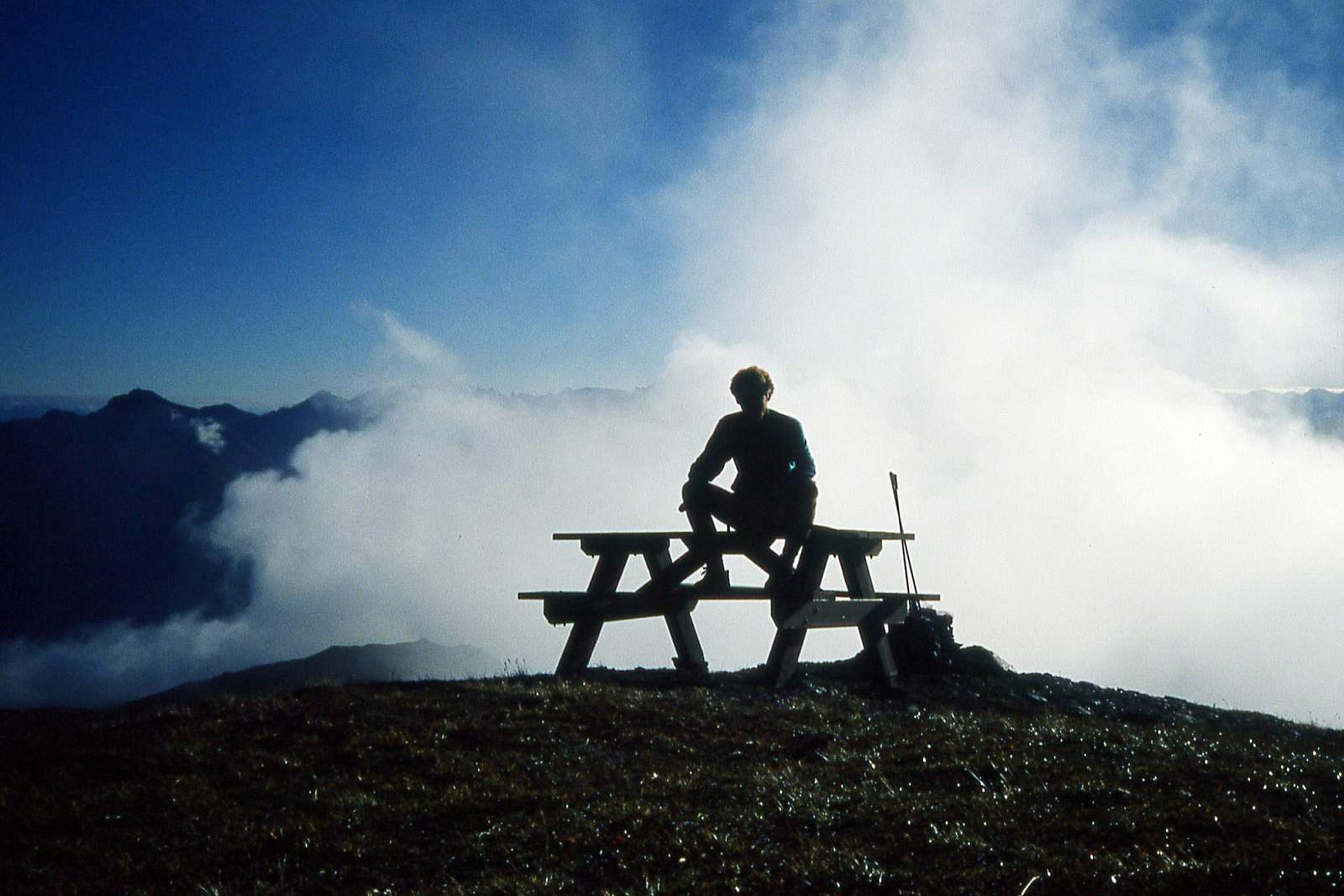 Pioneer Ridge-Austin Helmers Trail | ALASKA.ORG