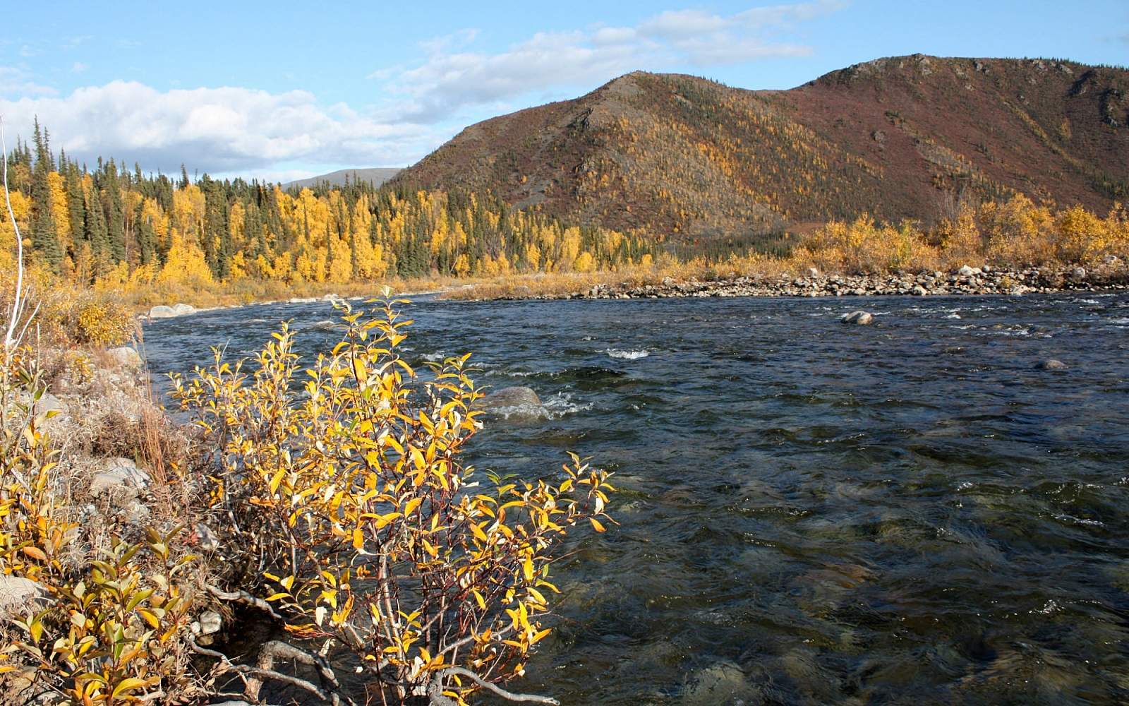 Northern Alaska Tour Company Fort Yukon Tour | Flights… | ALASKA.ORG