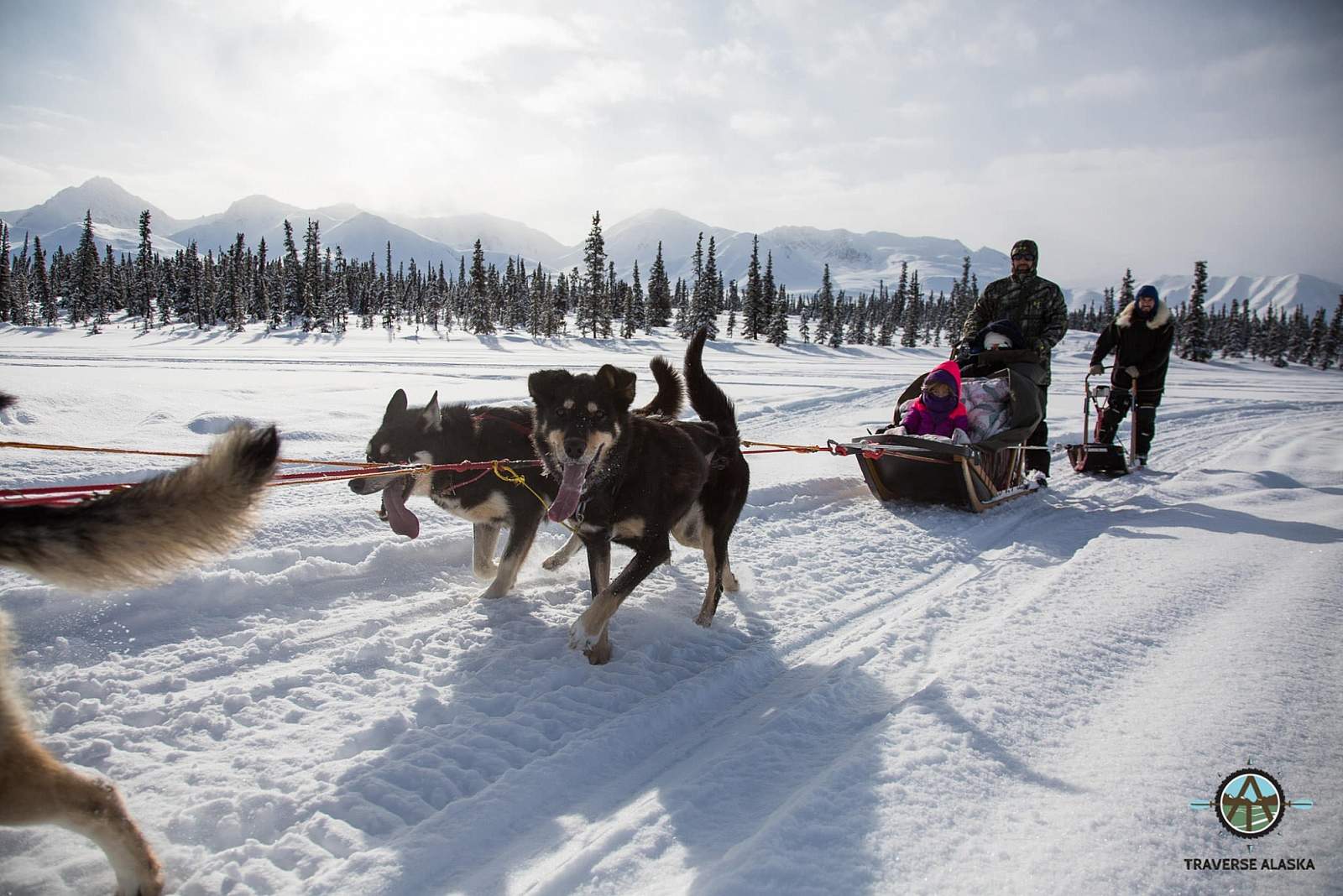 Traverse Alaska | Custom Guided Adventures in Denali… | ALASKA.ORG