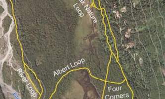 Albert Loop Trail | ALASKA.ORG