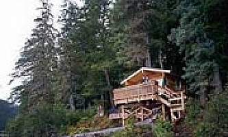 Windfall Lake Cabin | ALASKA.ORG