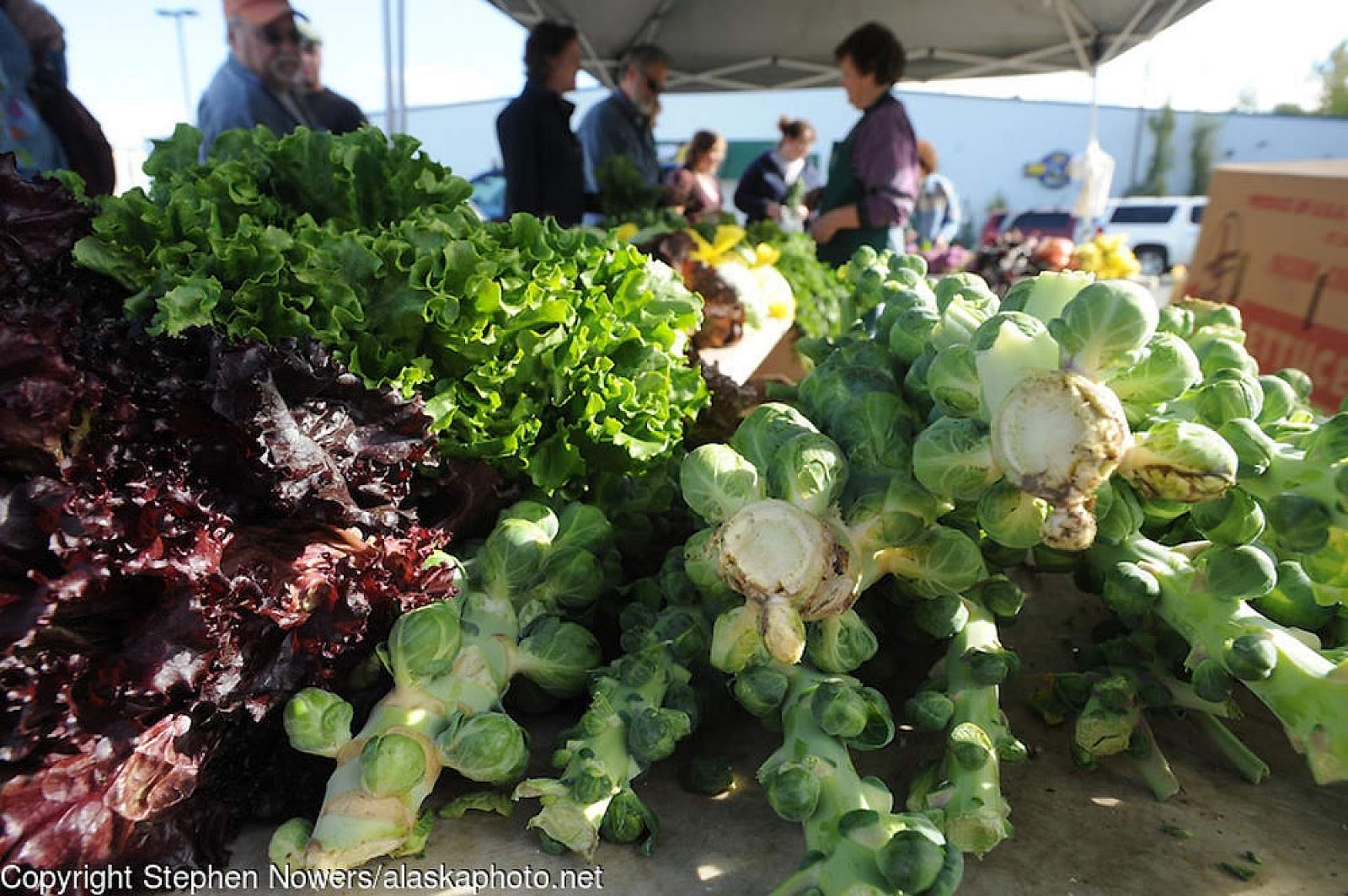 Alaska Farm Tours | Day Trips from Anchorage | ALASKA.ORG