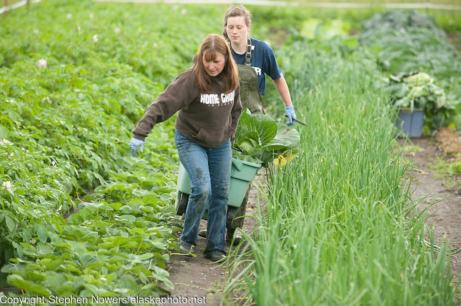 Alaska Farm Tours | Day Trips from Anchorage | ALASKA.ORG