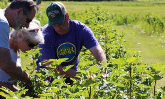 Alaska Farm Tours | Day Trips from Anchorage | ALASKA.ORG