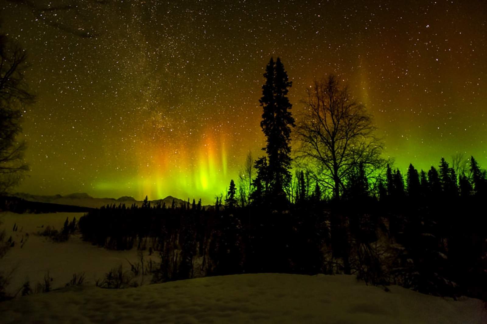 Alaska Naturally Aurora Show | Anchorage Northern Lights… | ALASKA.ORG
