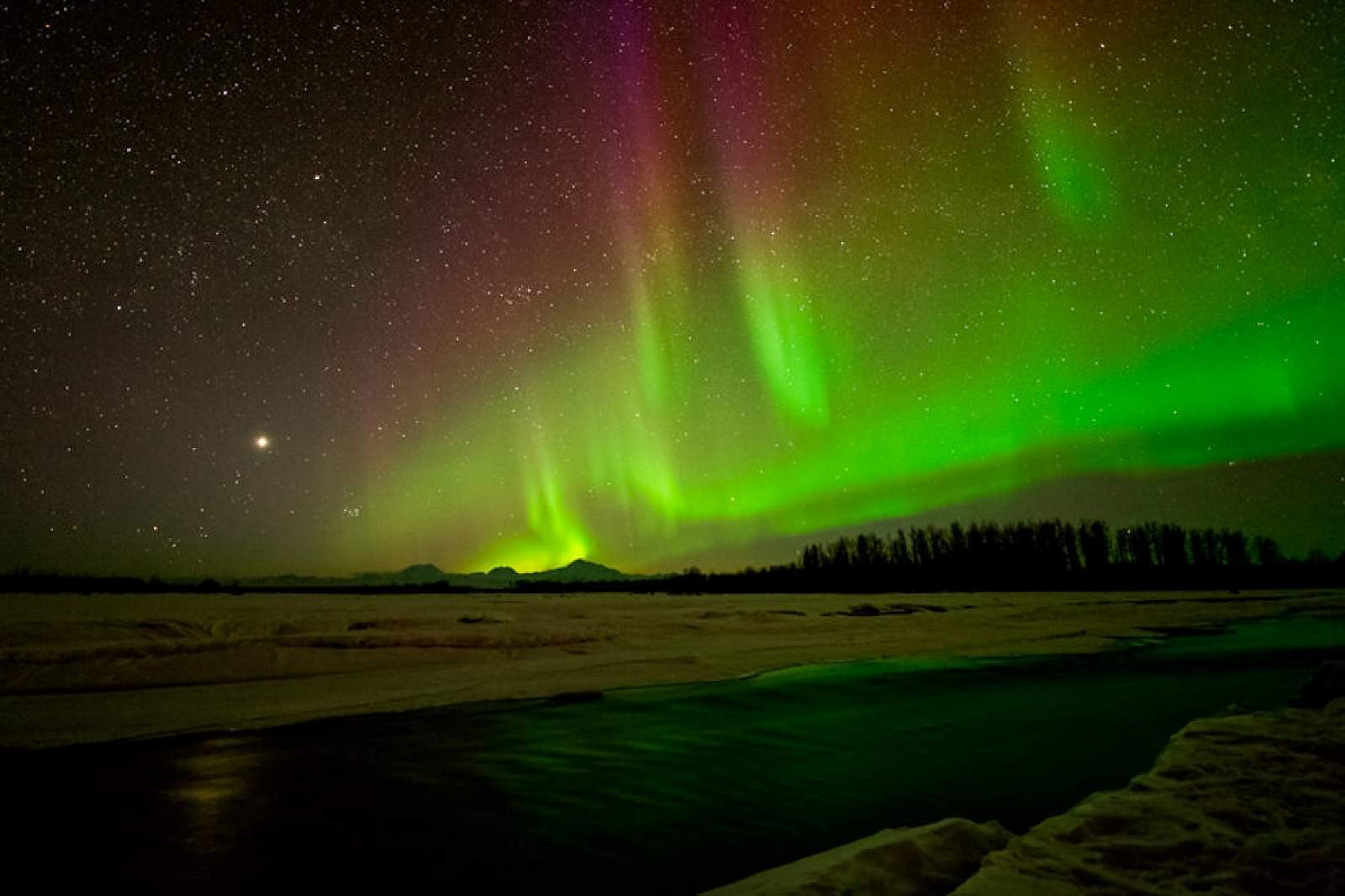 Alaska Naturally Aurora Show | Anchorage Northern Lights… | ALASKA.ORG