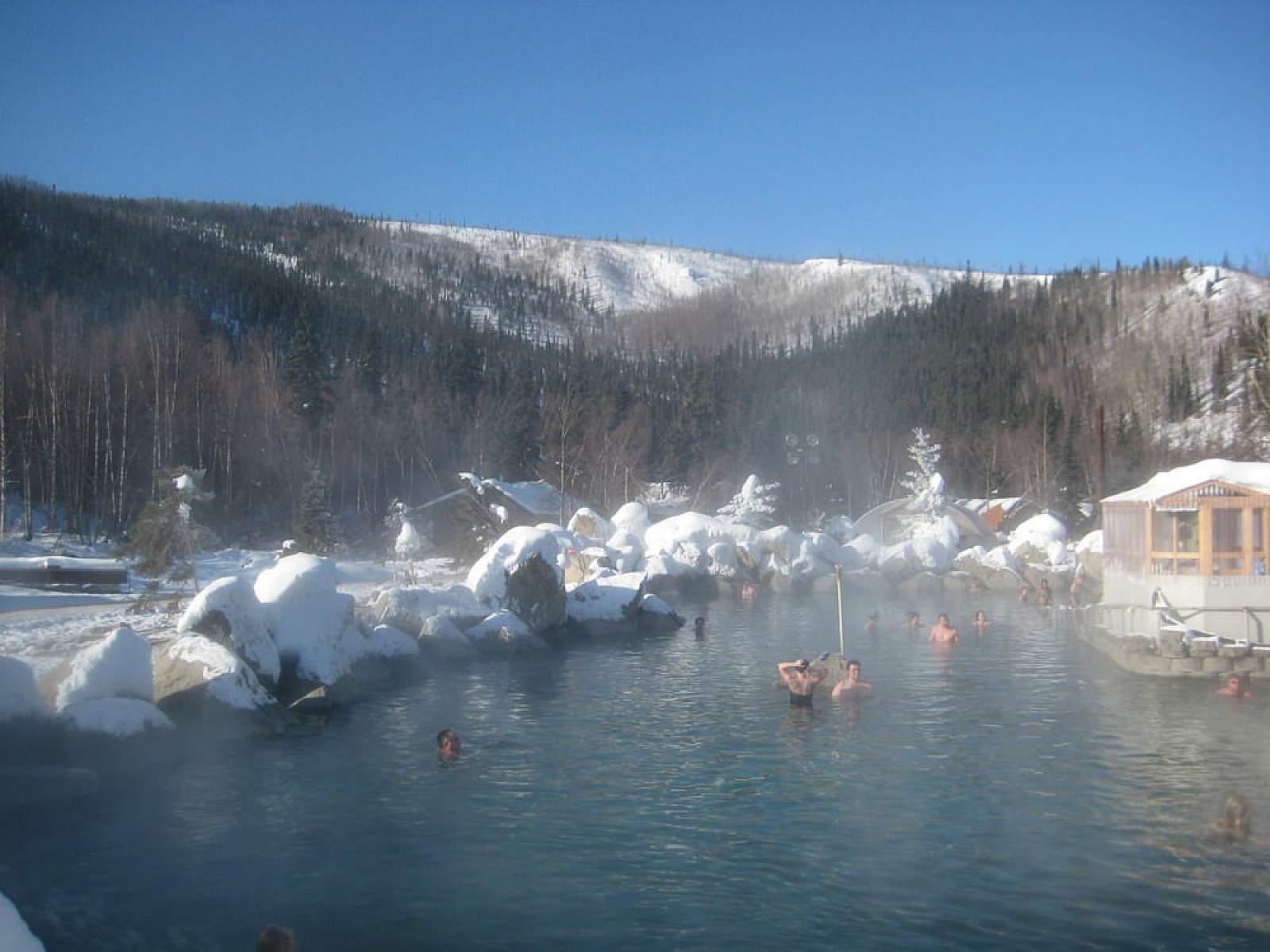 Alaska Wildlife Guide | Chena Hot Springs Northern… | ALASKA.ORG
