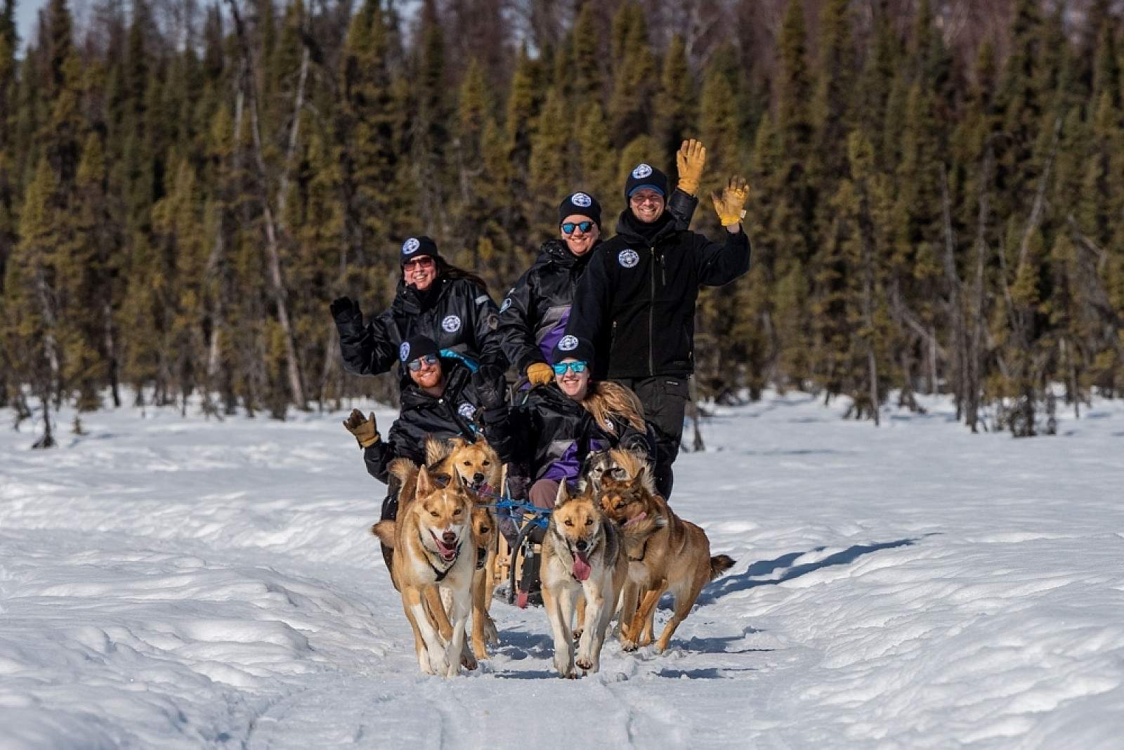 Alaskan Husky Adventures | Dog Sled Tours near… | ALASKA.ORG