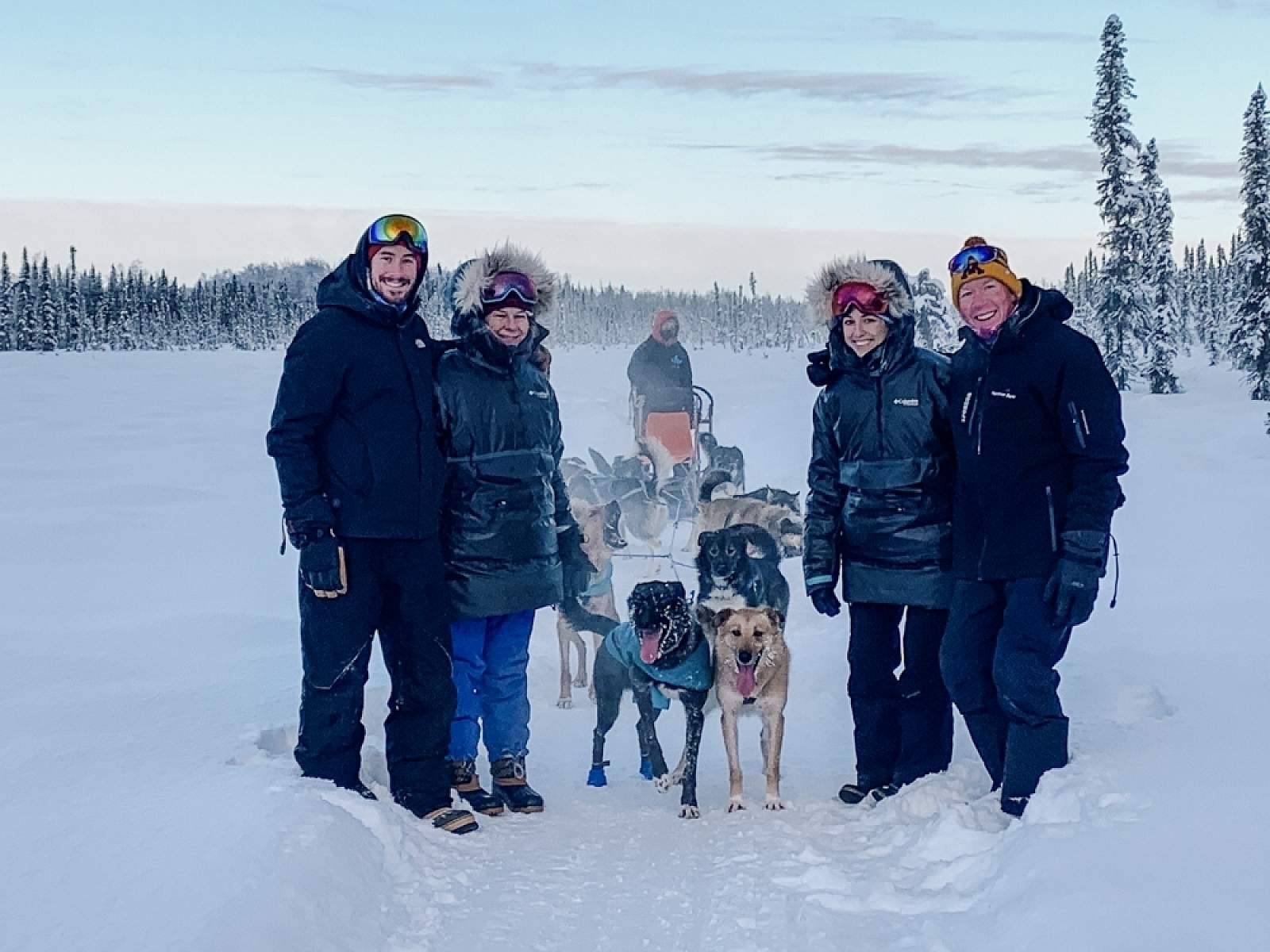 Alaskan Husky Adventures | Dog Sled Tours near… | ALASKA.ORG