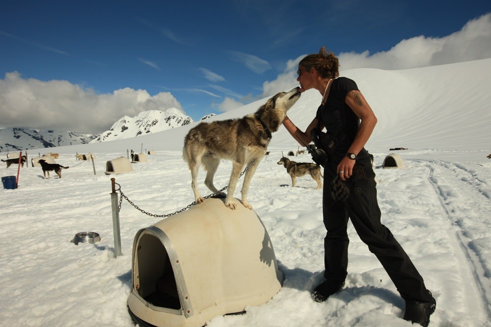 Alpine Air Alaska Glacier Dogsledding | ALASKA.ORG
